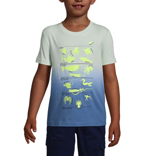 Boys Graphic Tee Lands End