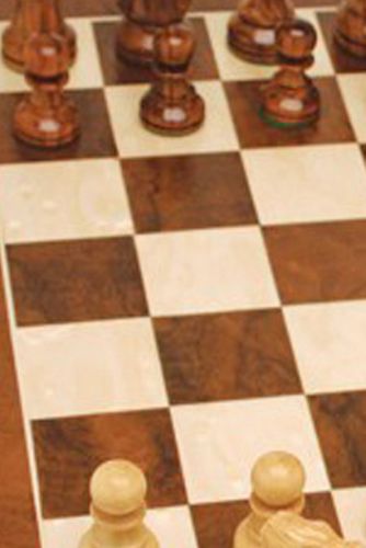 Beginner Chess Sets | Lands' End