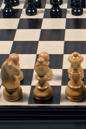 Beginner Chess Sets | Lands' End
